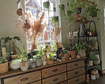 Fleurs, your florist in Horsham. Flower delivery across West Sussex! and Nationwide!